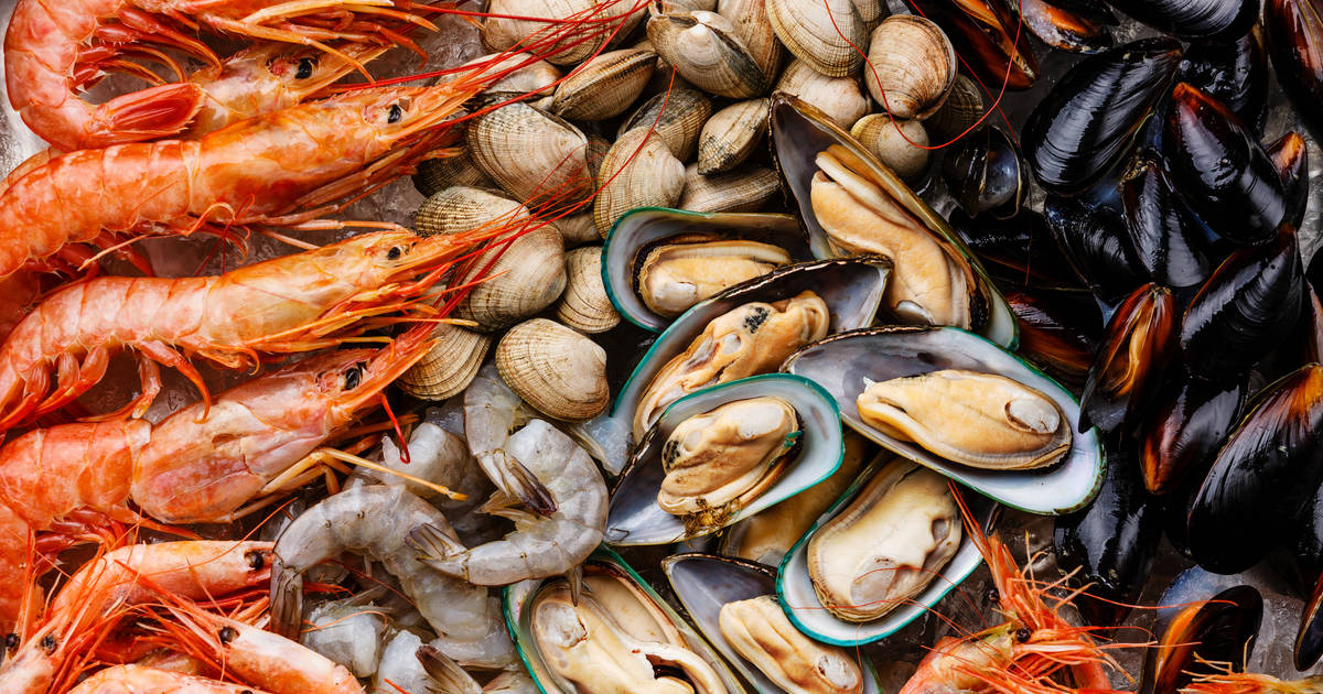 Is shrimp seafood sustainable?