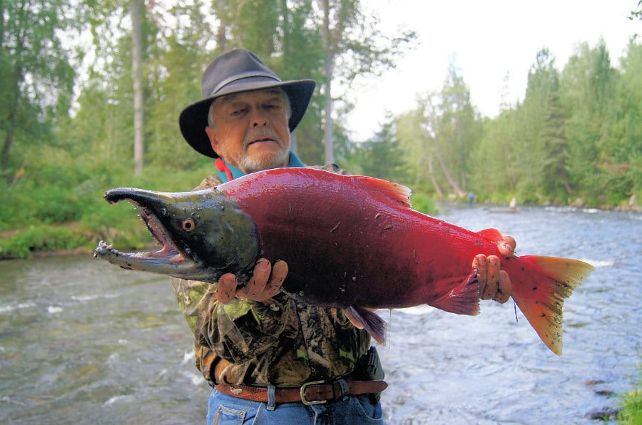 Is snagging salmon illegal in Alaska?