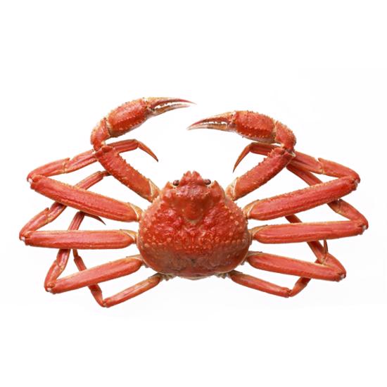 Is snow crab high in carbs?