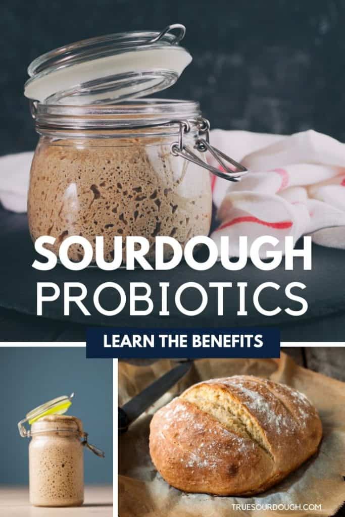 Is sourdough bread a prebiotic or probiotic?
