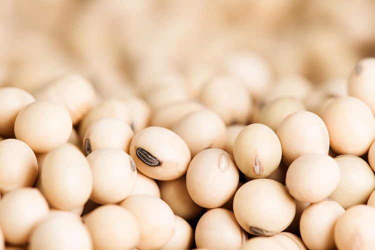 Is soy bad for growing girls?