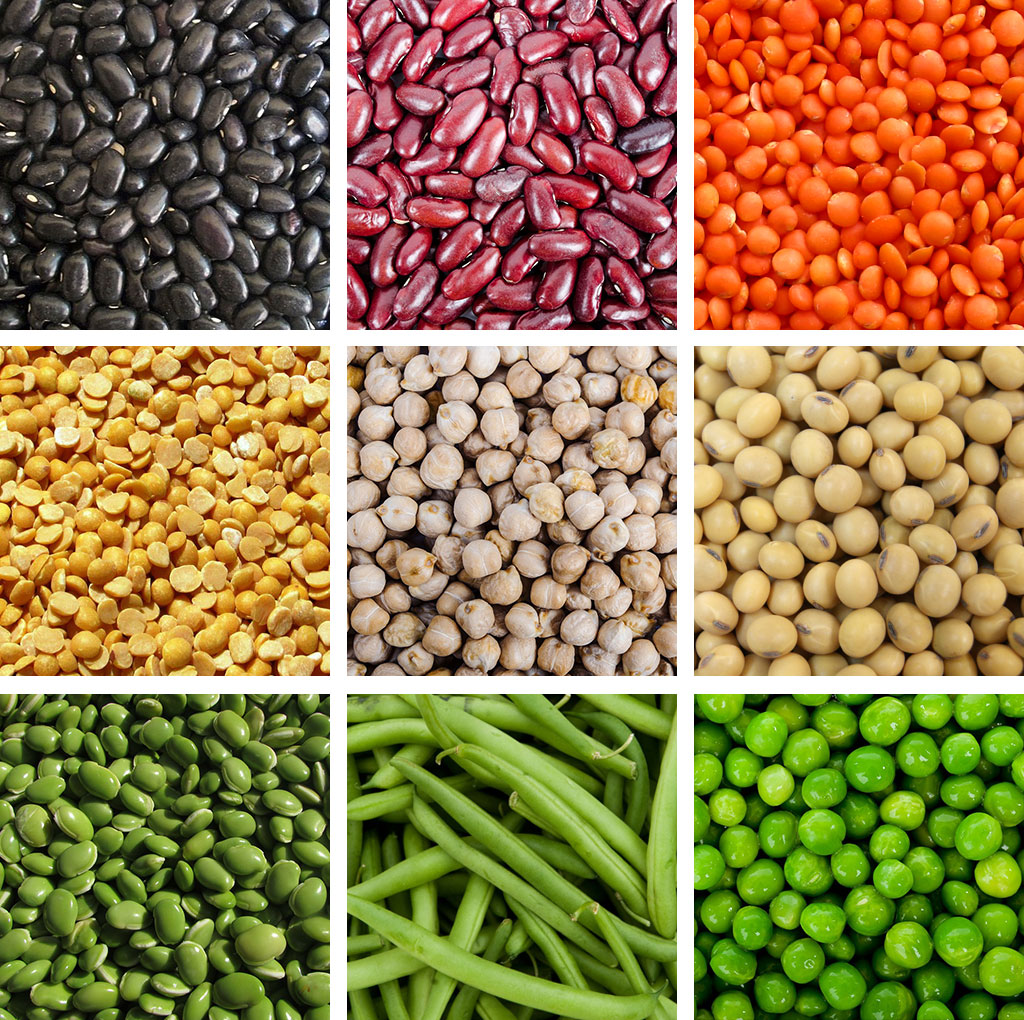 Is soy considered legume?