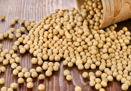 Is soy flour safe to eat?