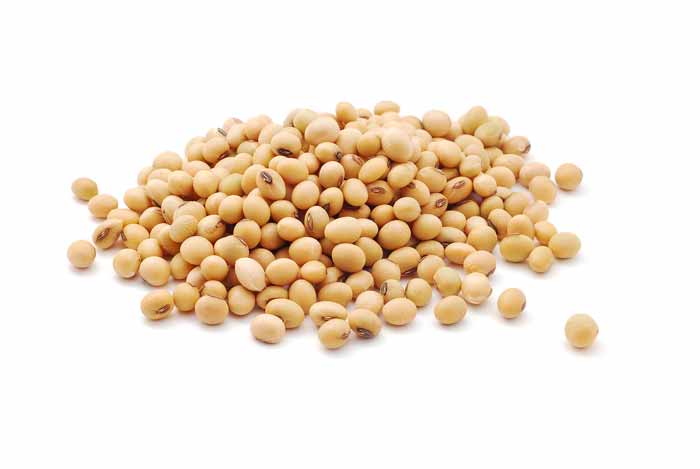 Is soy good for athletes?