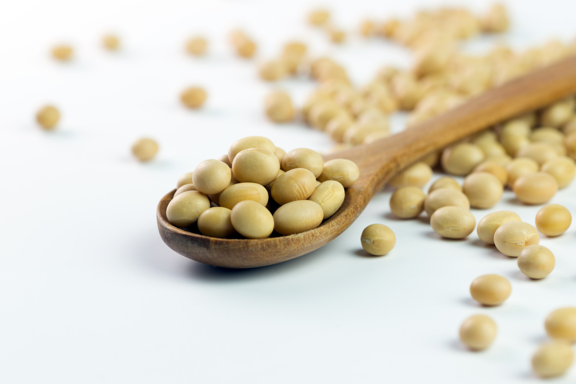 Is soy good for females?
