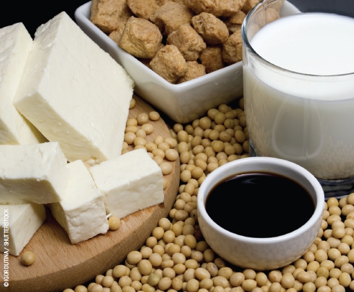 Is soy good for proteinuria?