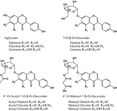 Is soy isolate the same as soy isoflavones?