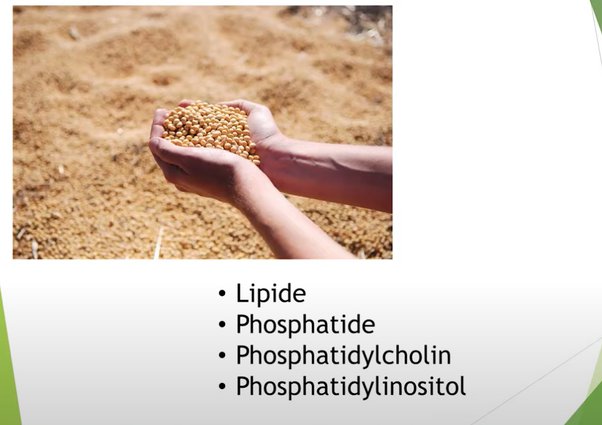 Is soy lecithin a carbohydrate lipid or protein?