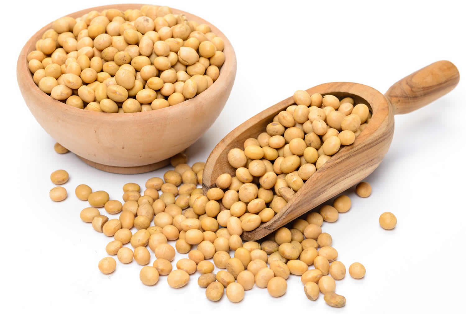 Is soy lecithin same as soybean?