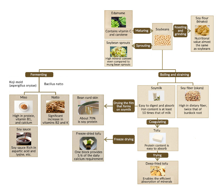 Is soy processed?