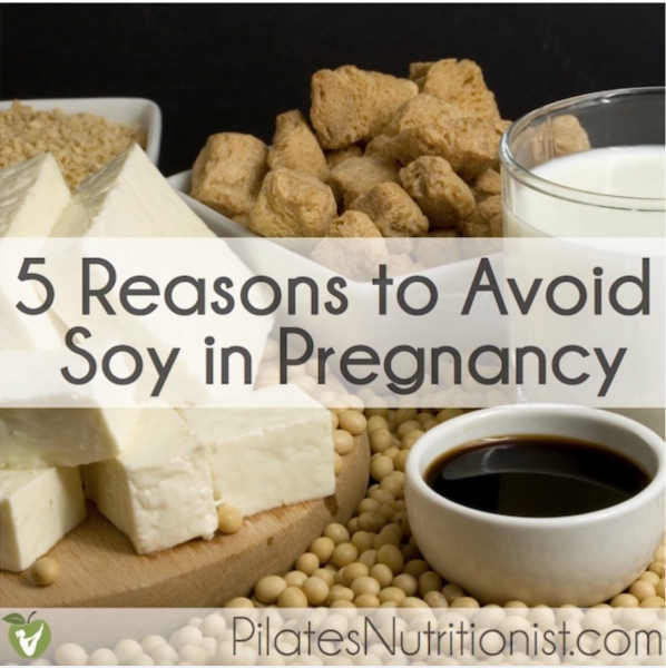 Is soy protein good for perinatal health?