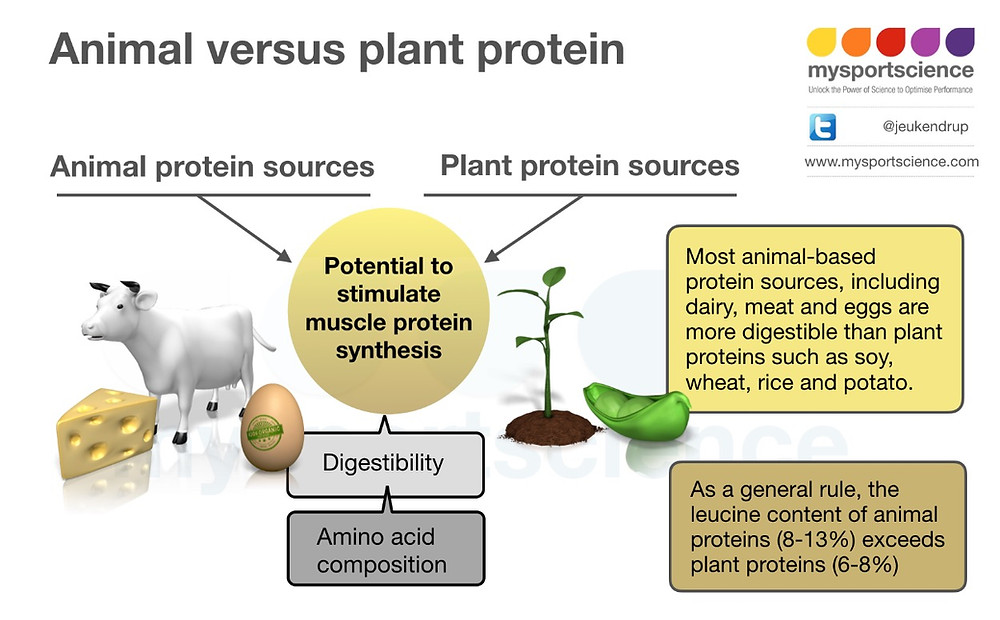 Is soy protein same as animal protein?