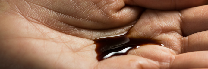 Is soy sauce made from rotten fish?