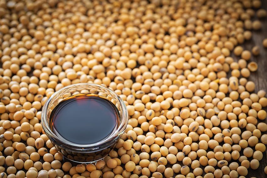 Is soy sauce Vegetarian friendly?