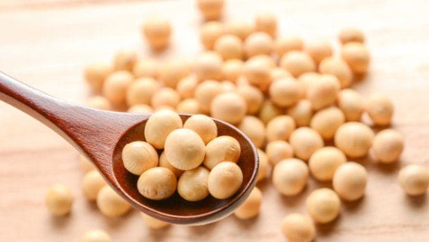 Is Soya bad for your health?