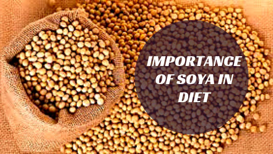 Is soya bean products play an important part in vegetarian diet?