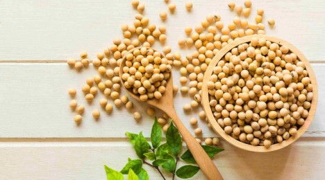 Is soya bean skin healthy?
