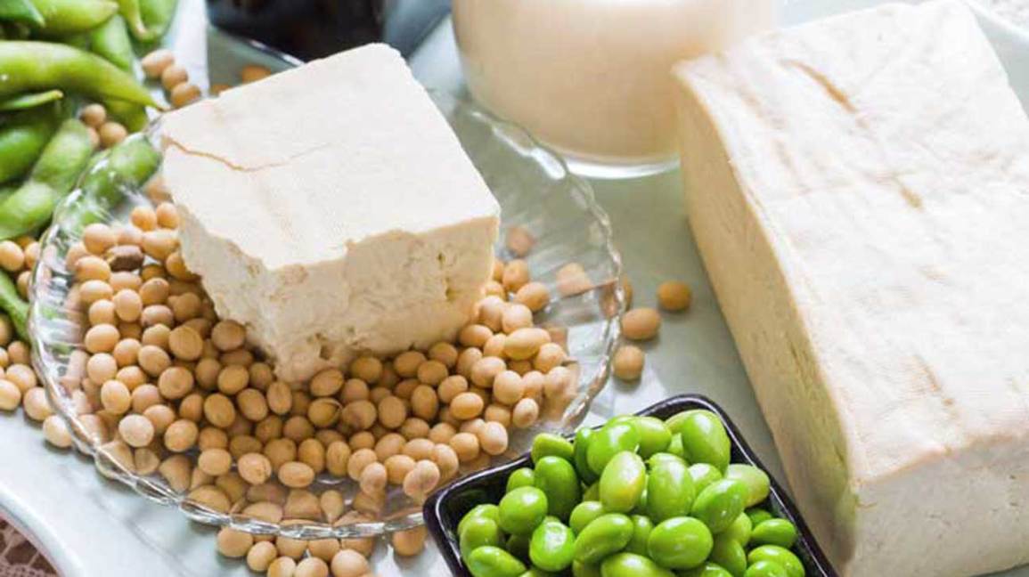 Is soya beancurd high in protein?