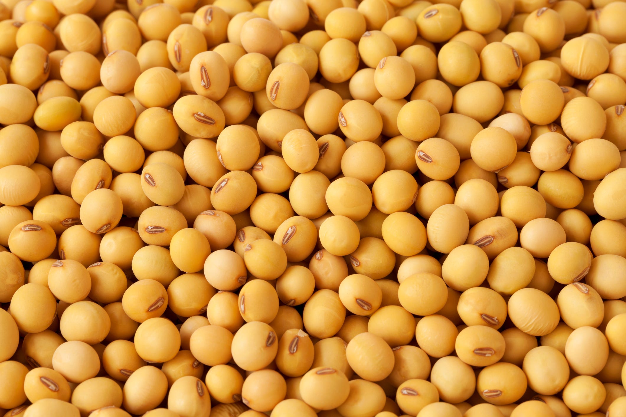 Is Soybean good or bad for health?