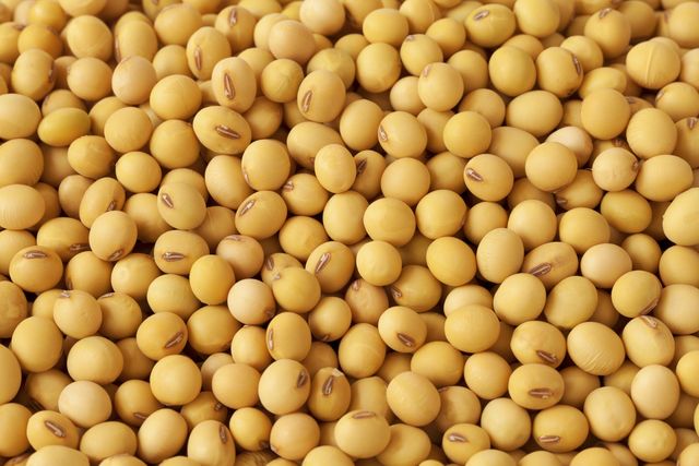 Is soybean good to eat?