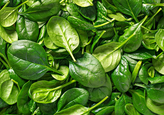 Is spinach the healthiest food?