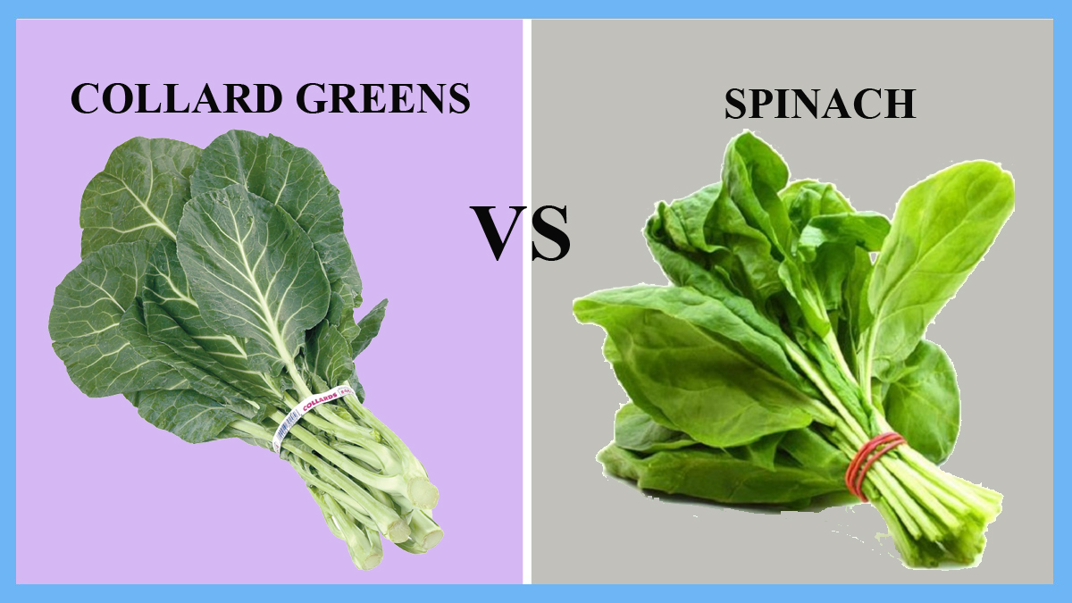 Is spinach the same as collard greens?
