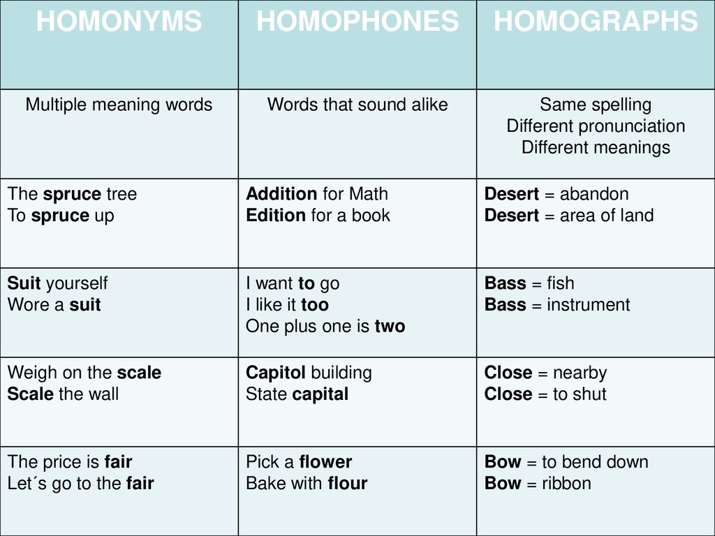 Is spruce a homonym?