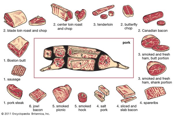 Is steak made out of pigs?