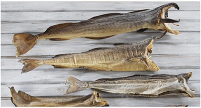 Is stockfish safe to eat?