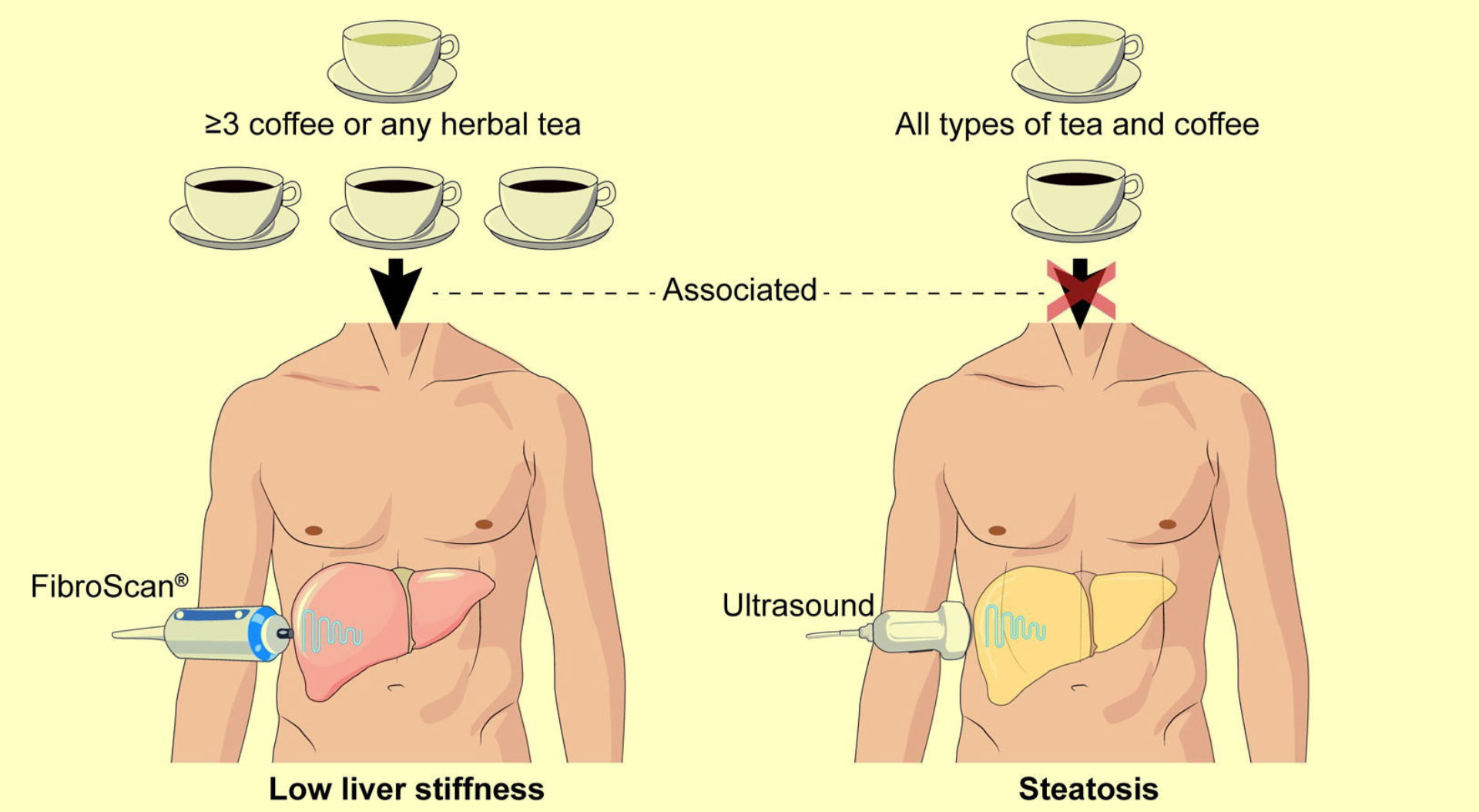 Is tea not good for liver?