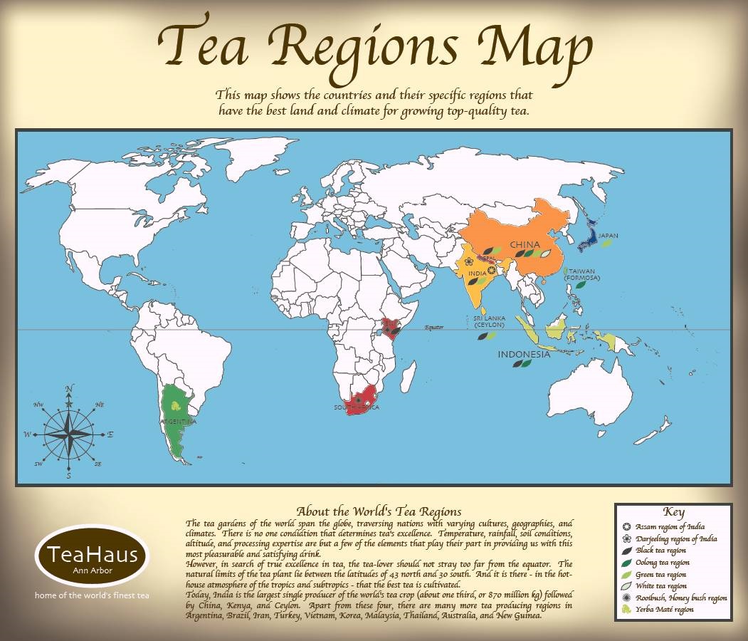 Is tea originally from China or India?