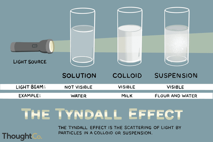 Is the mixture of starch and water a solution or suspension?