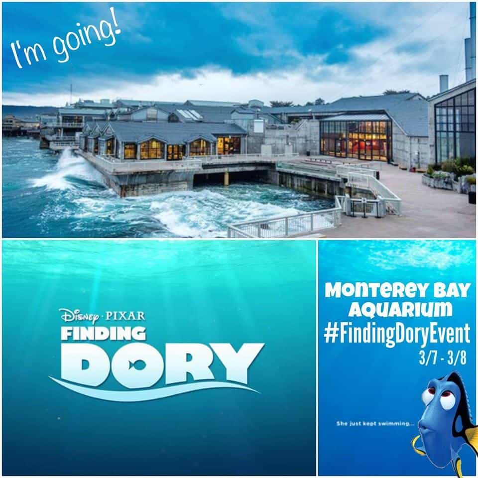 Is the Monterey Bay Aquarium in Finding Dory? [2022] QAQooking.wiki