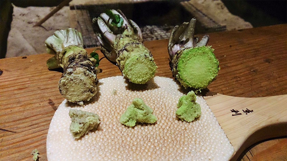 Is the wasabi fake?