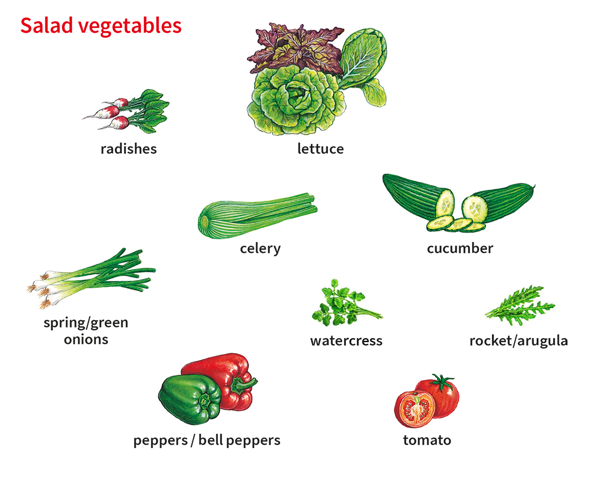 Is the word pepper countable or uncountable?