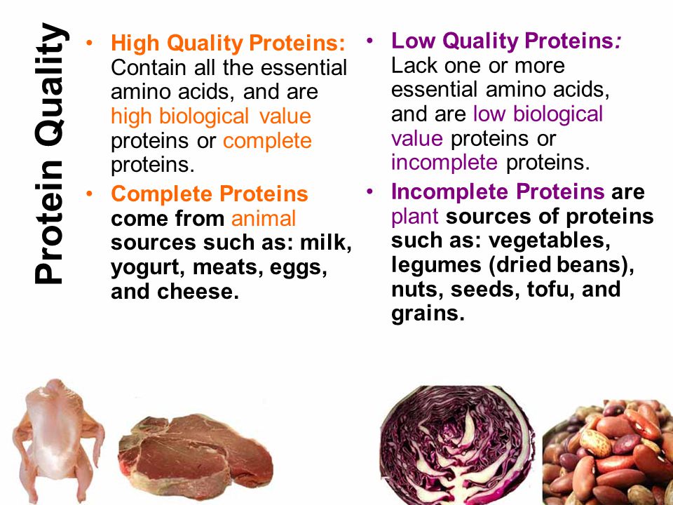 Is there a difference in quality of protein?