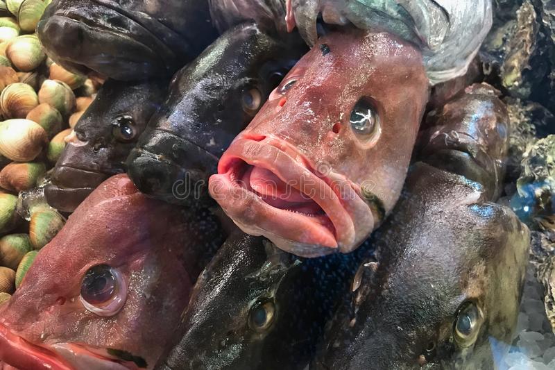 Is there a market for fish heads?
