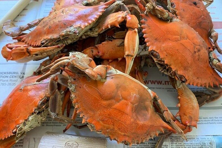 Is there a shortage of crabs in Maryland?