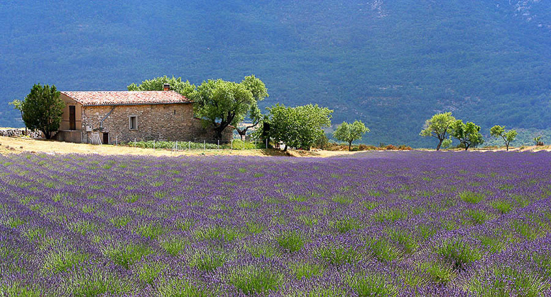 Is there a word Provence?