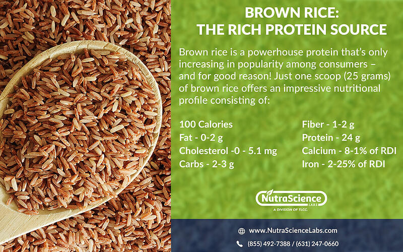 Is there any protein in brown rice?