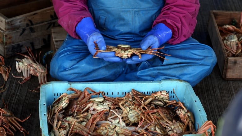 Is there enough snow crab in demand?