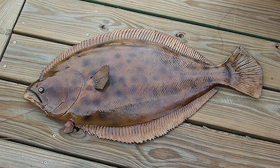 Is there flounder in the Pacific Ocean?