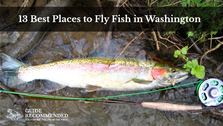 Is there fly fishing in Washington State?