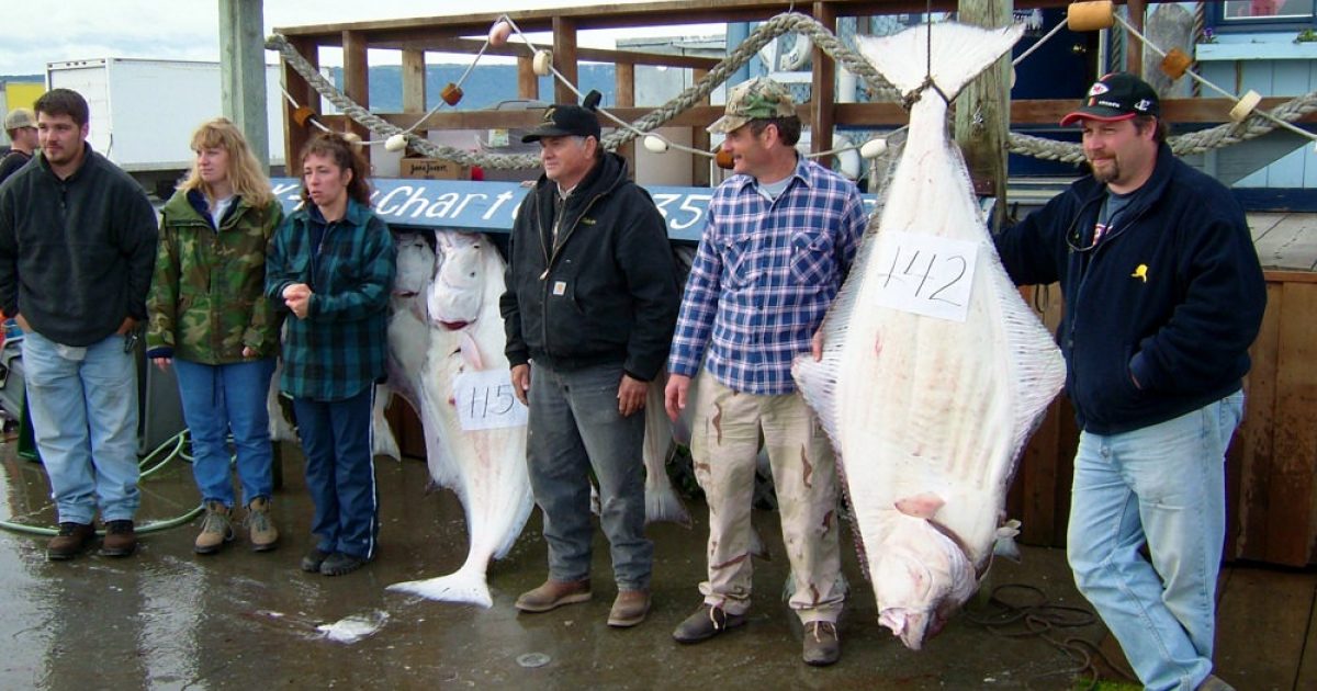 Is there halibut fishing in Anchorage?