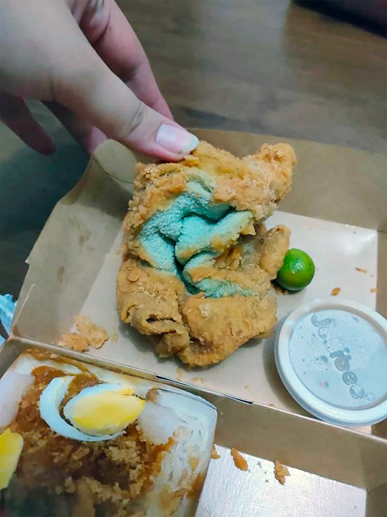 Is this the unappetizing replacement for fried chicken?
