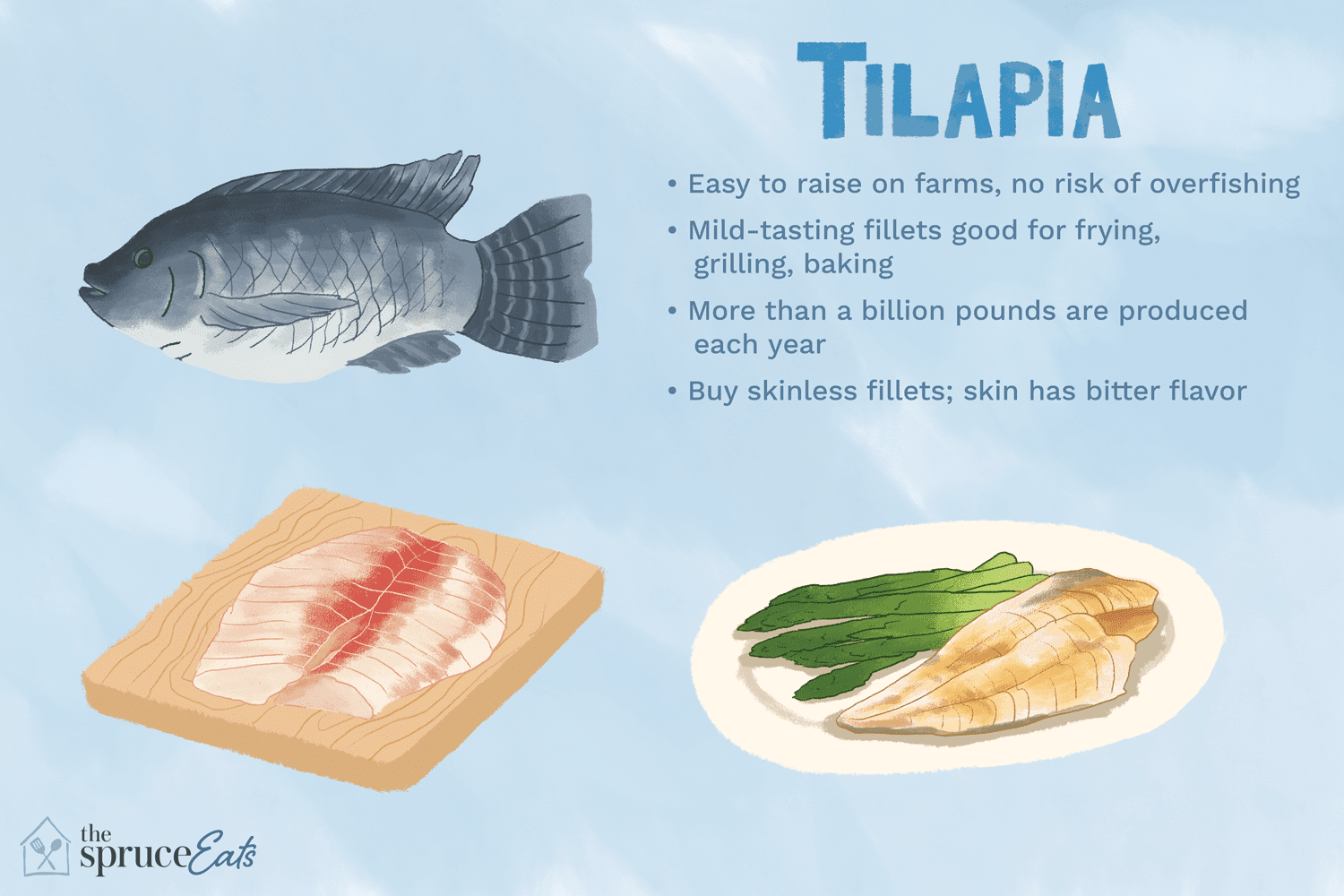 Is tilapia a firm fish?