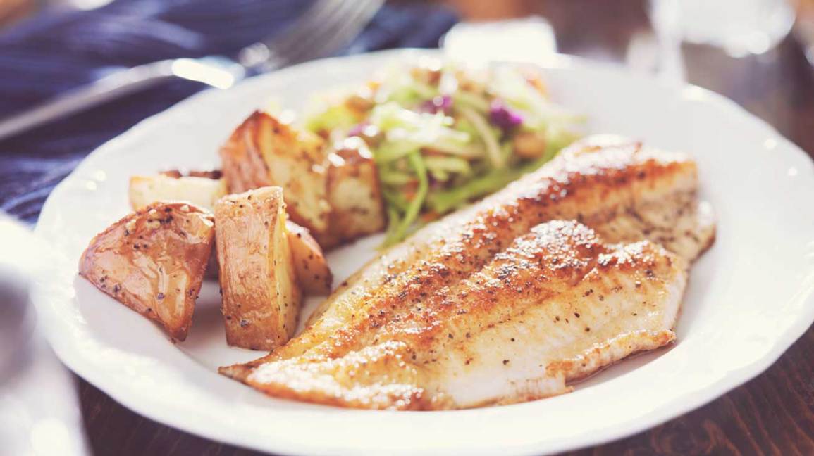 Is tilapia a good source of protein?