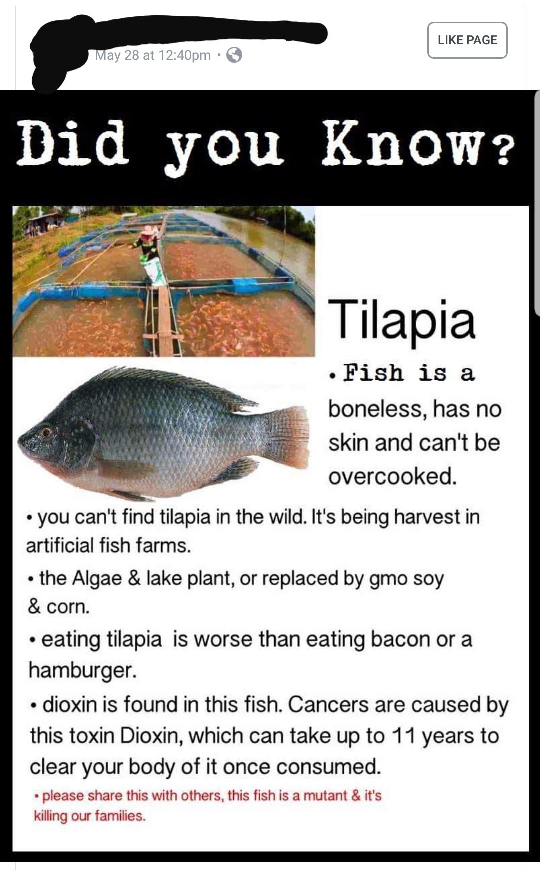 Is tilapia cancerous?