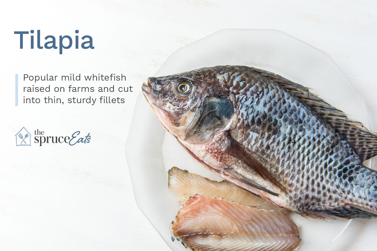Is tilapia the same as whitefish?