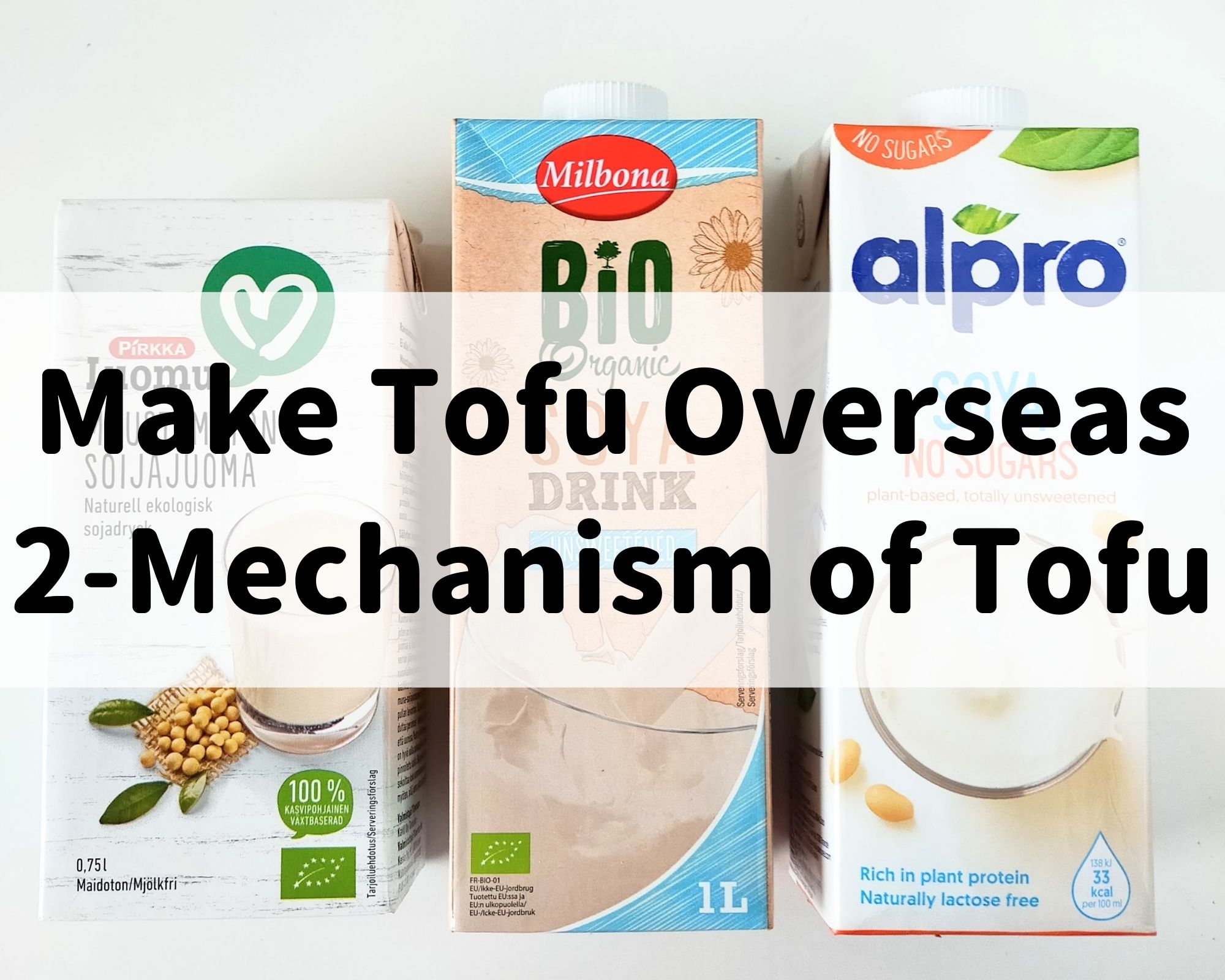 Is tofu a colloid or solution?